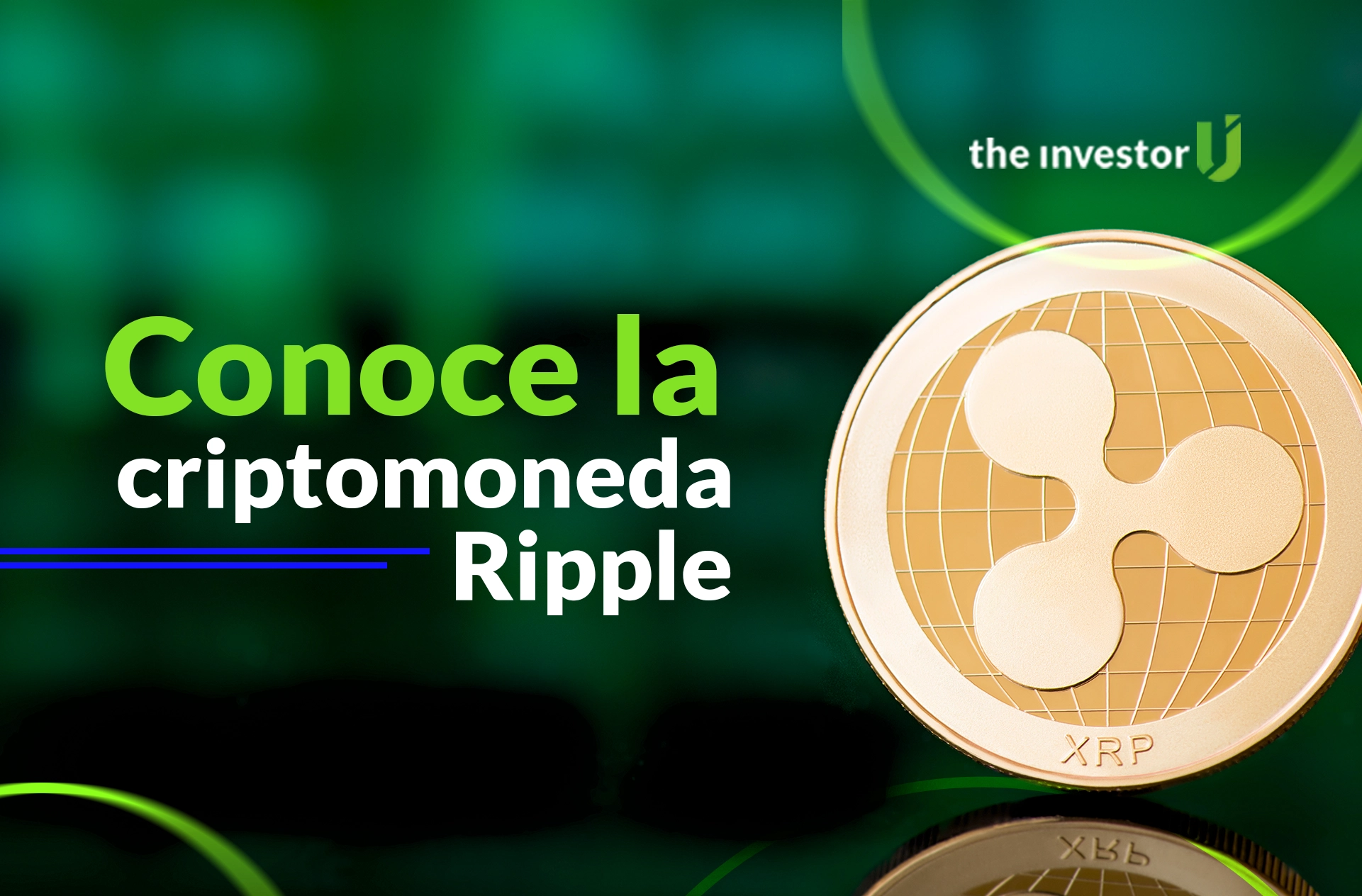 Ripple Lo Que Todo Inversor Debe Saber Sobre Esta Criptomoneda The